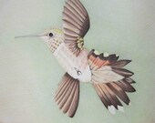 Pencil Art Work by Susan Truax by pencilartwork on Etsy