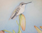 Pencil Art Work by Susan Truax by pencilartwork on Etsy