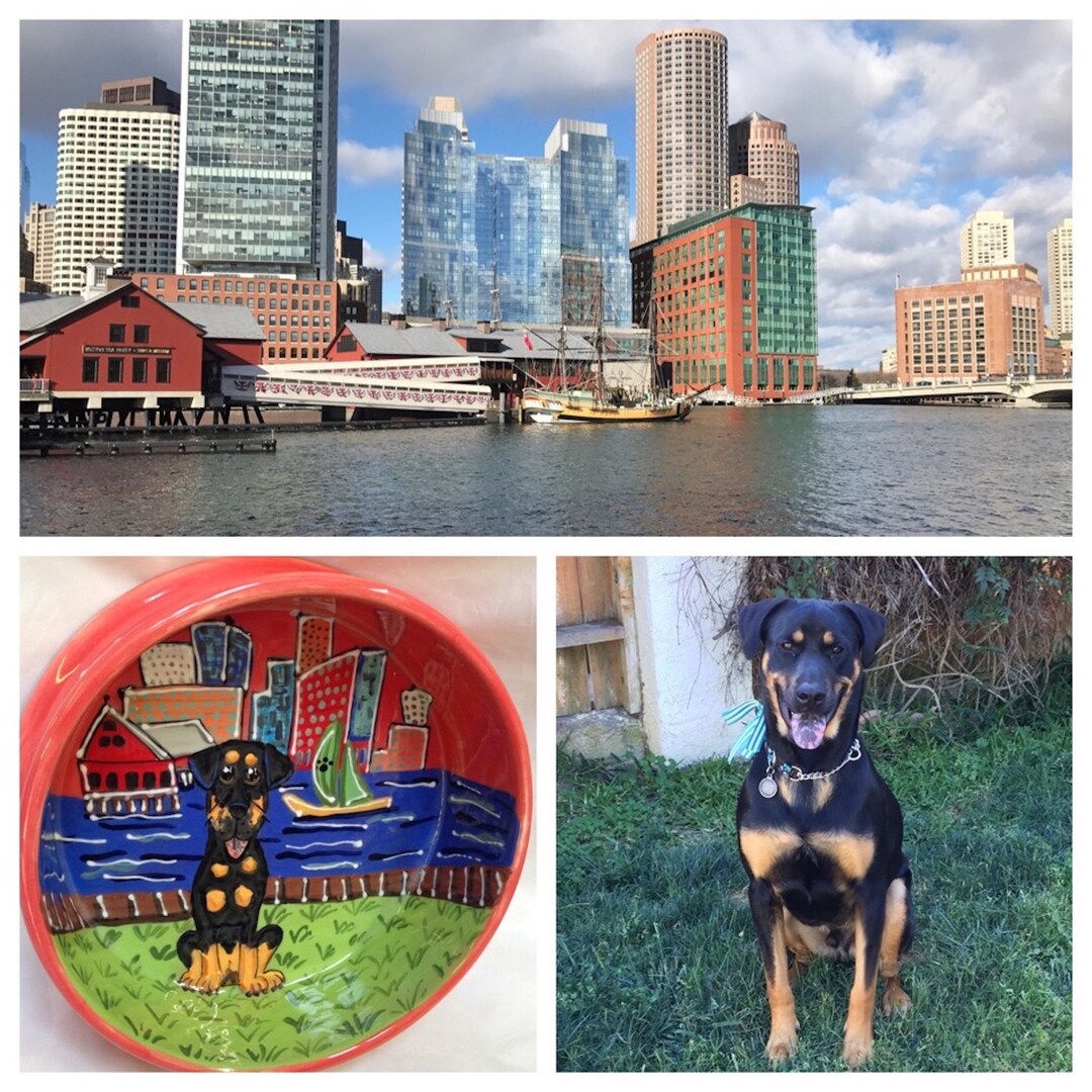 ORDER Debby Carman Official Faux Paw Productions Dog Bowl From Photo ...