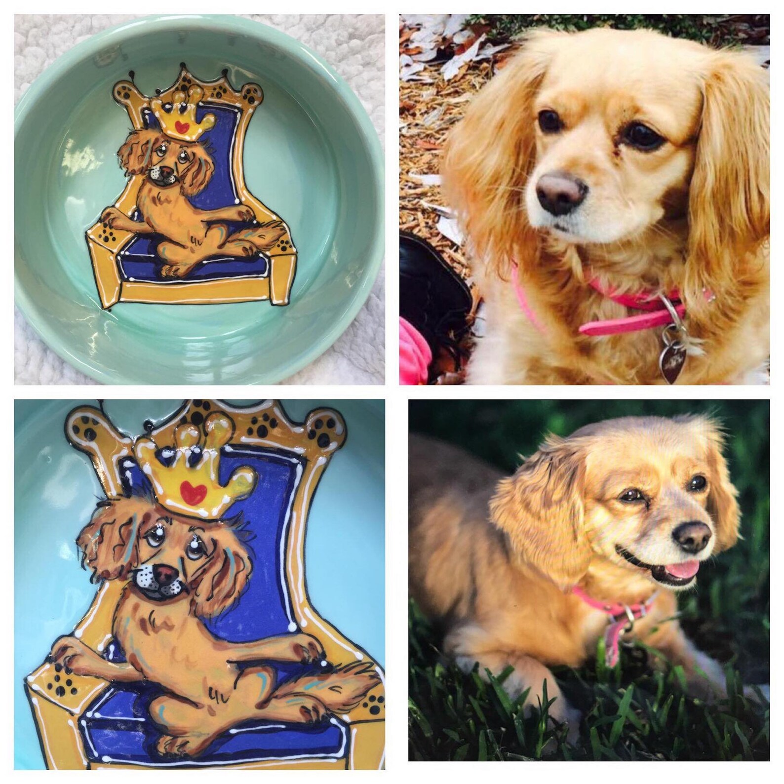 ORDER Debby Carman Official Faux Paw Productions Dog Bowl - Etsy