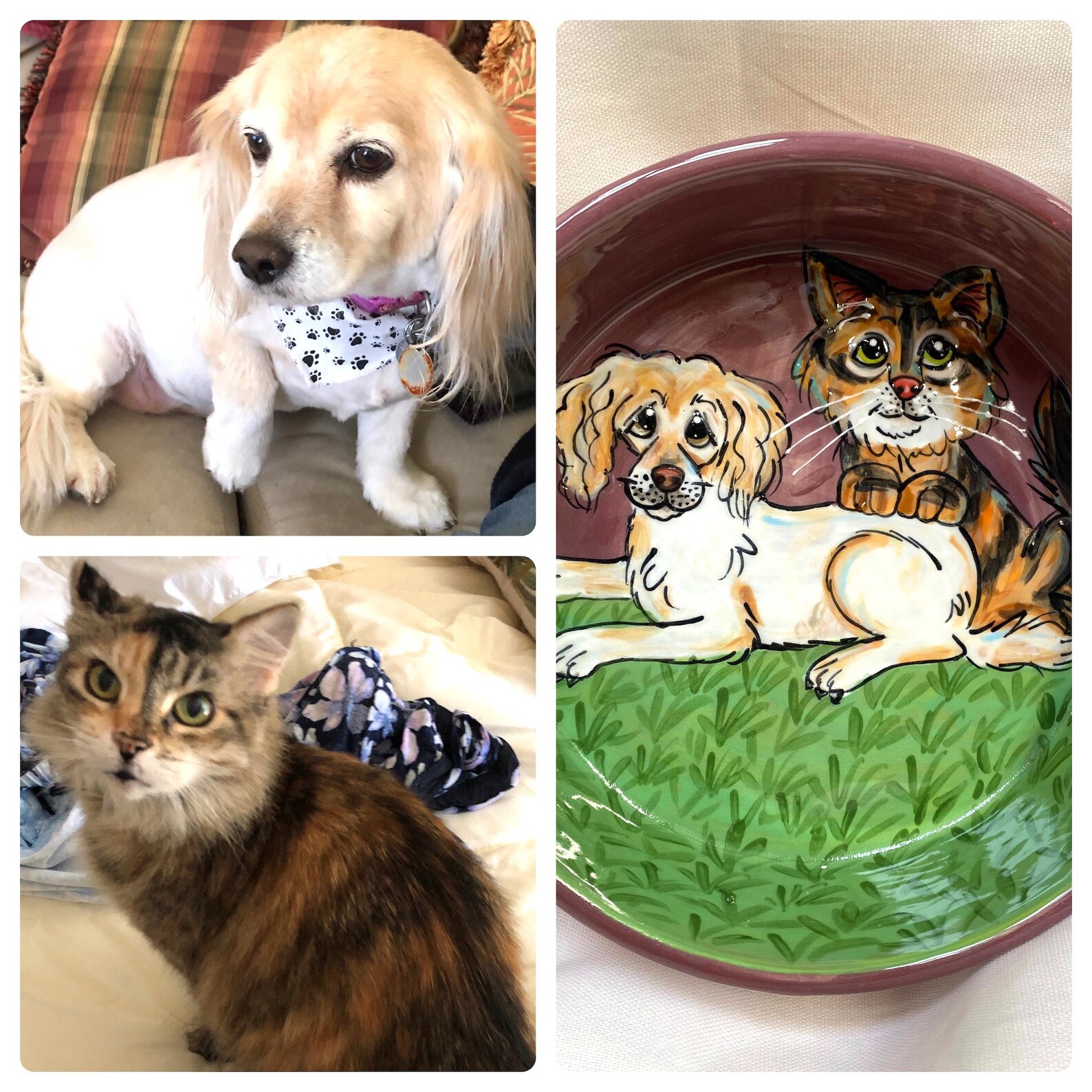 ORDER Debby Carman Official Faux Paw Productions Dog Bowl - Etsy