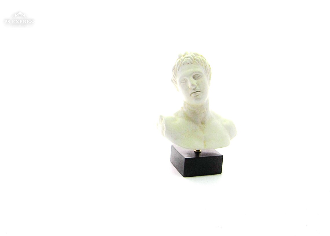 Great Alexander From Pella Cast of Stone , Replica Copy Greek Statue ...