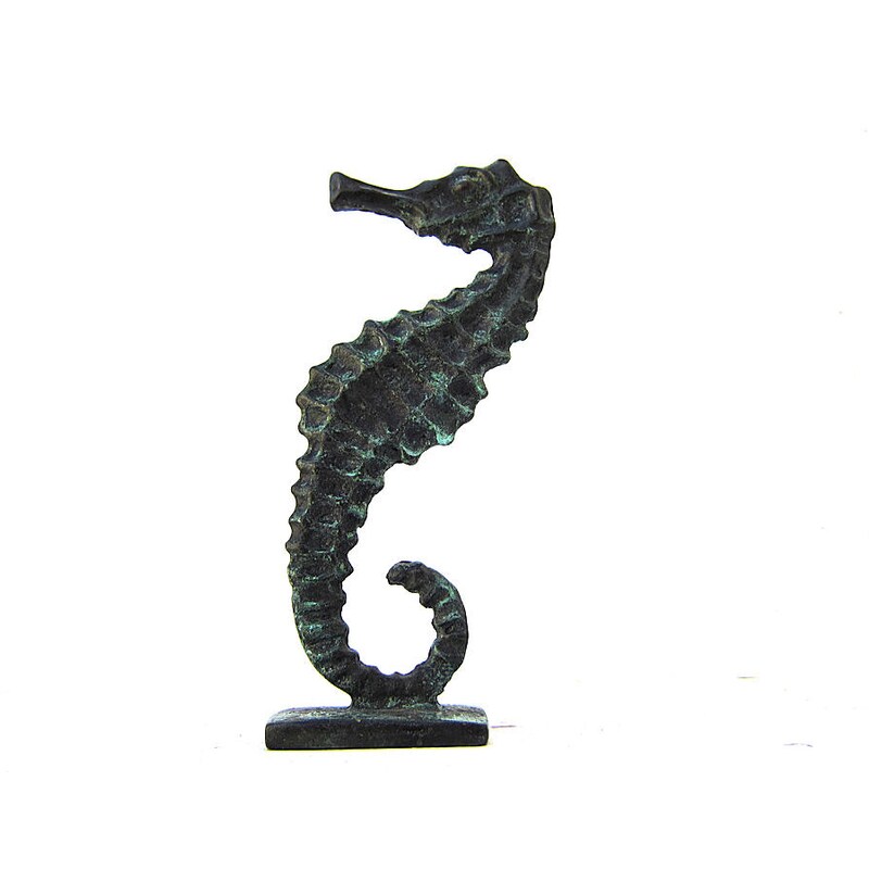 Hippocampus - Etsy