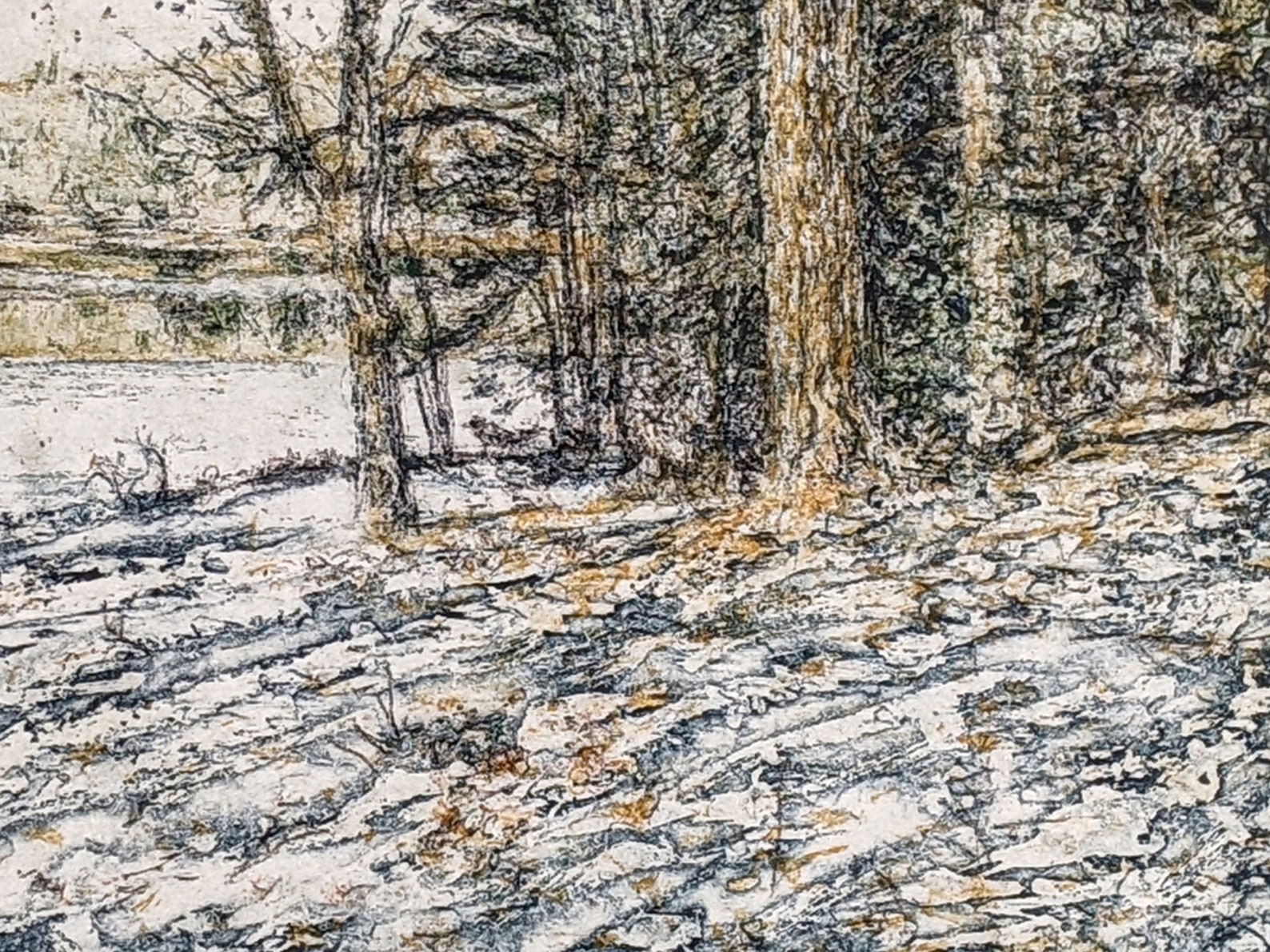 Color Aquatint Etching,winter Pond,aquatint Etchings,color Etching ...