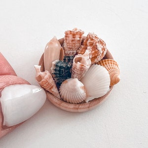 Miniature Shell Tray, Mini Home Decor, Dollhouse Seashells, Mini Tray ...
