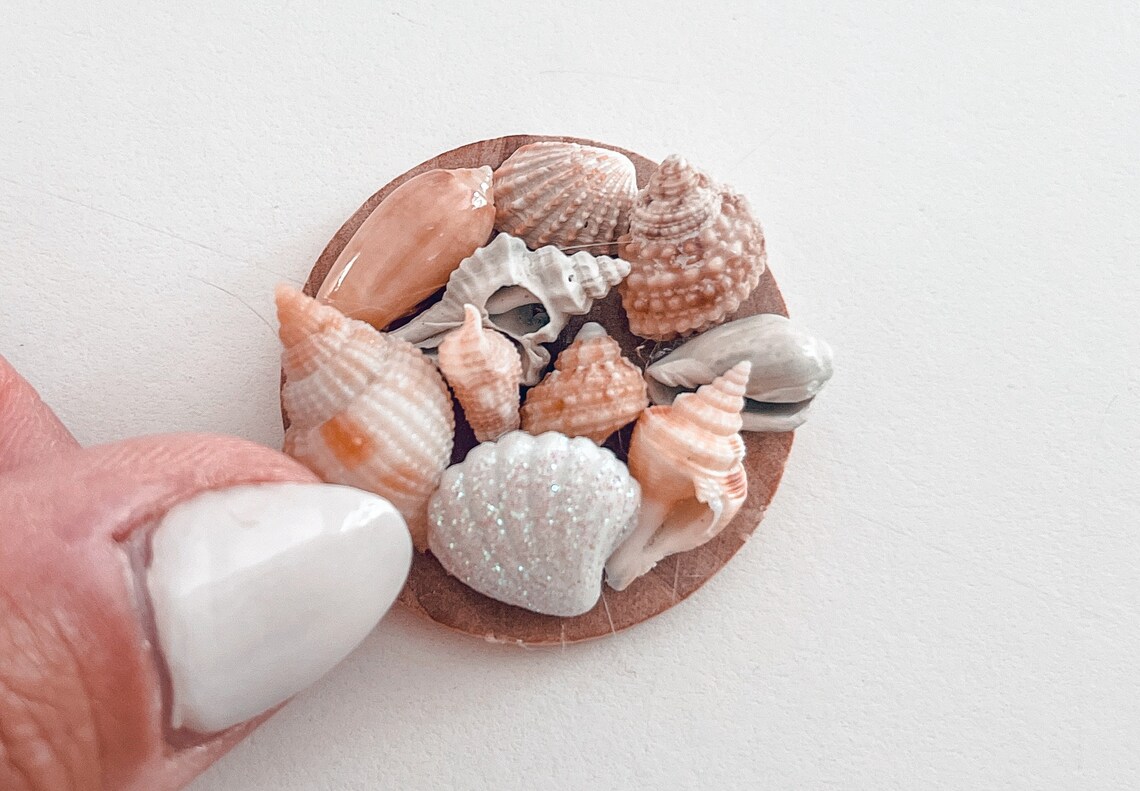 Miniature Shell Tray, Mini Home Decor, Dollhouse Seashells, Mini Tray ...