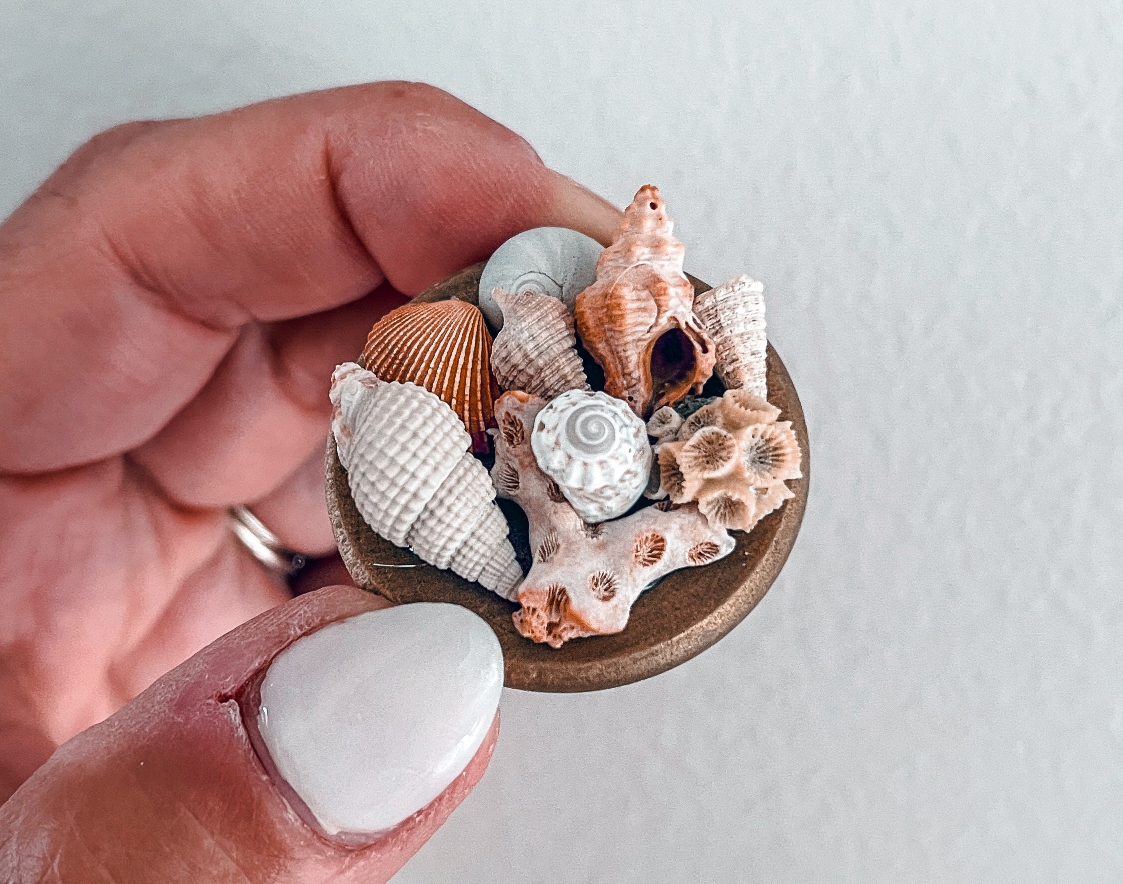 Miniature Shell Tray, Mini Home Decor, Dollhouse Seashells, Mini Tray ...
