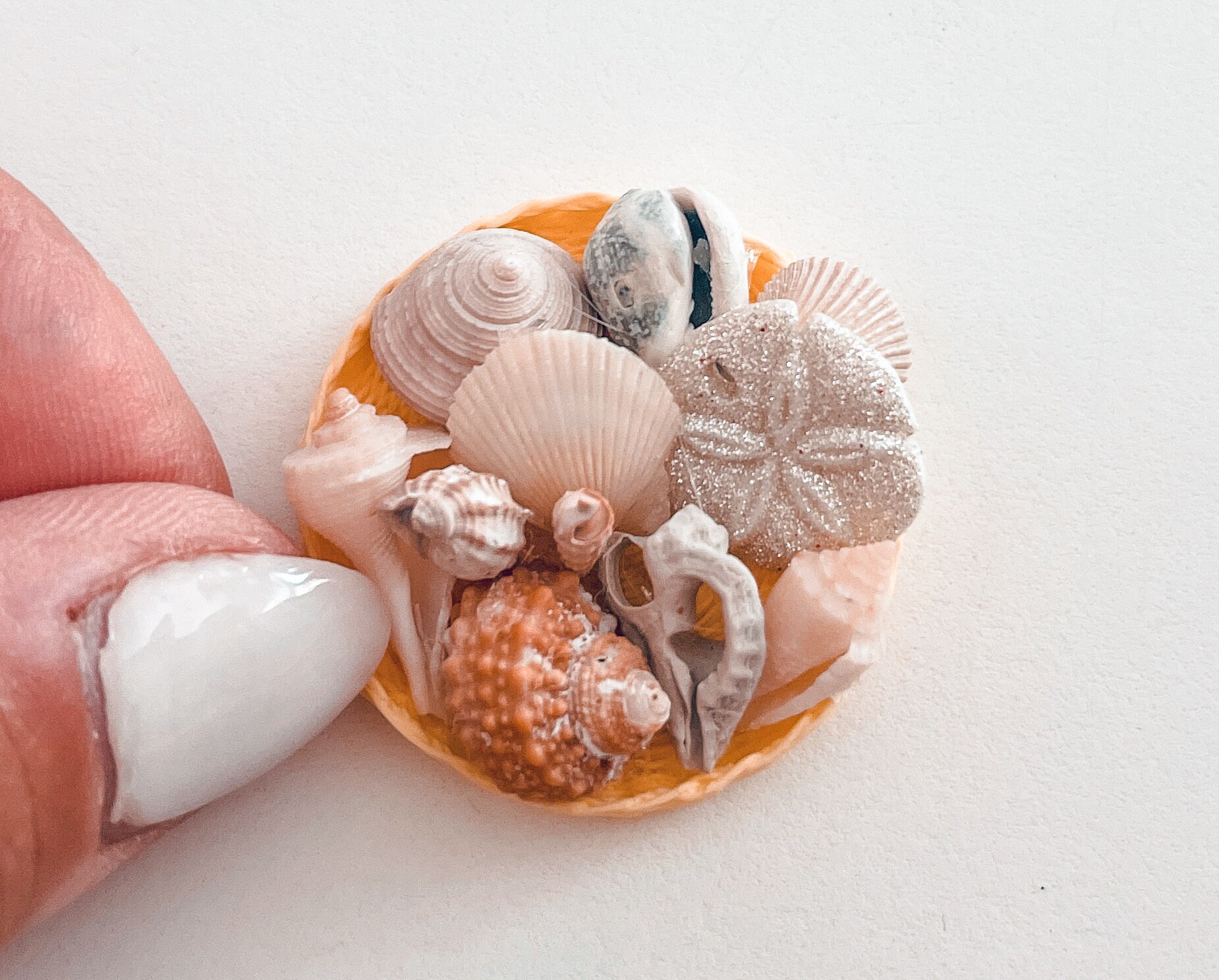 Miniature Shell Tray, Mini Home Decor, Dollhouse Seashells, Mini Tray ...