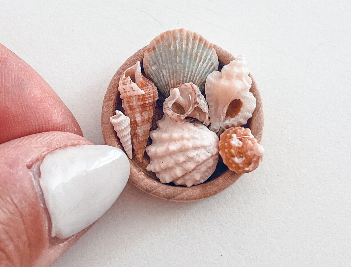 Miniature Shell Tray, Mini Home Decor, Dollhouse Seashells, Mini Tray ...