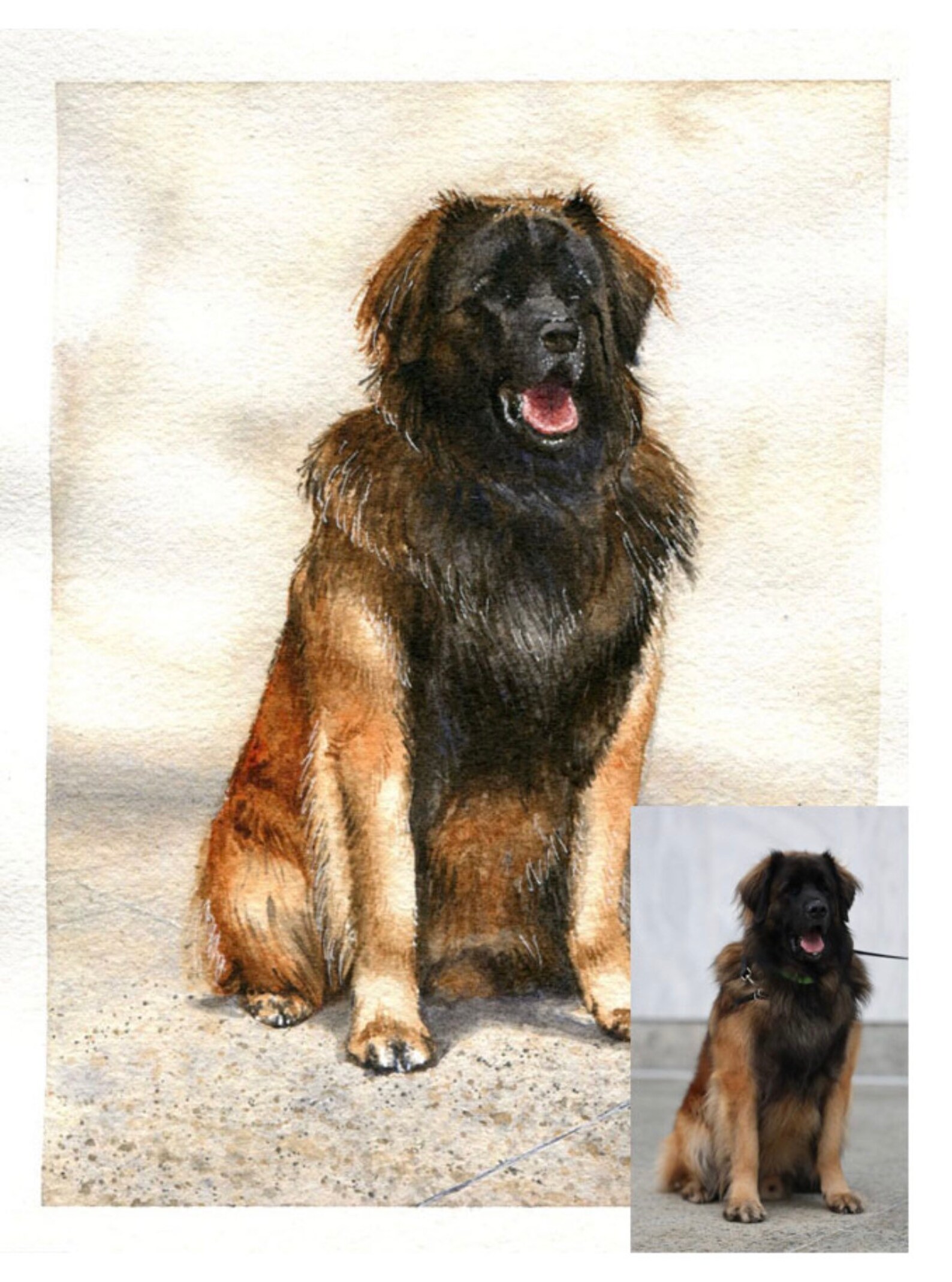 Personalized Dog Portrait - Etsy
