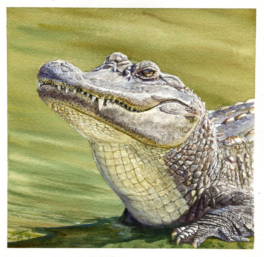 Watercolor Alligator - PRINT - Etsy