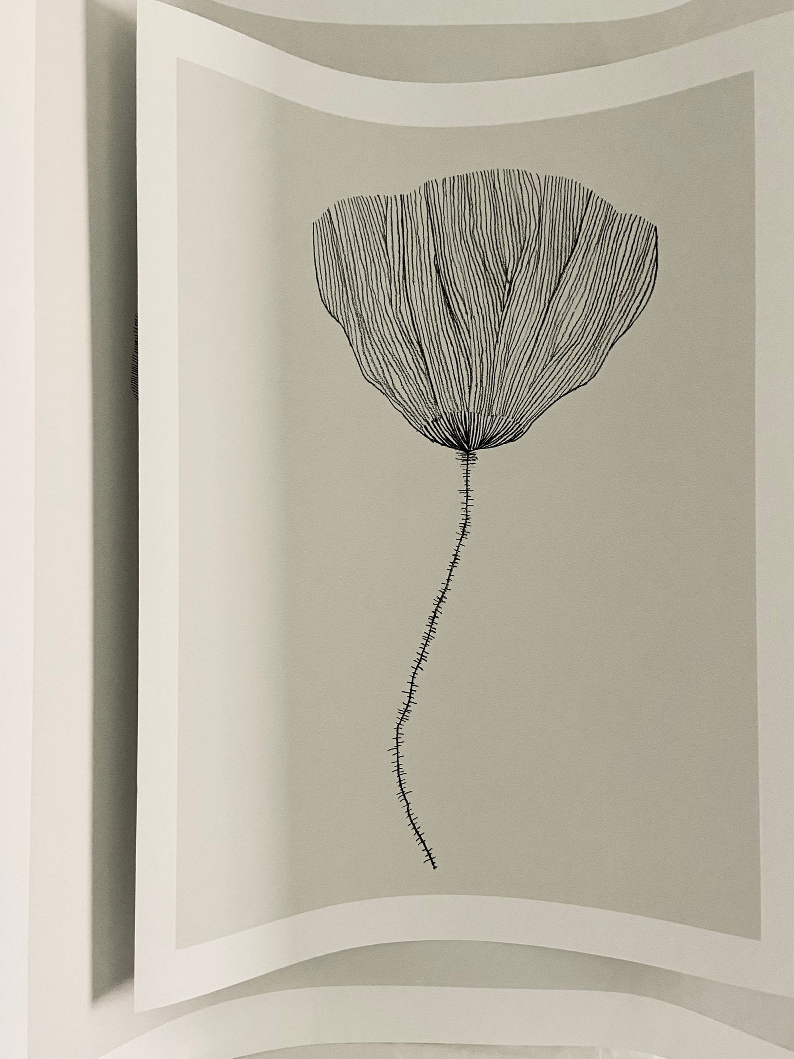 POPPY N.1 by #anafrois . Art Print - Etsy