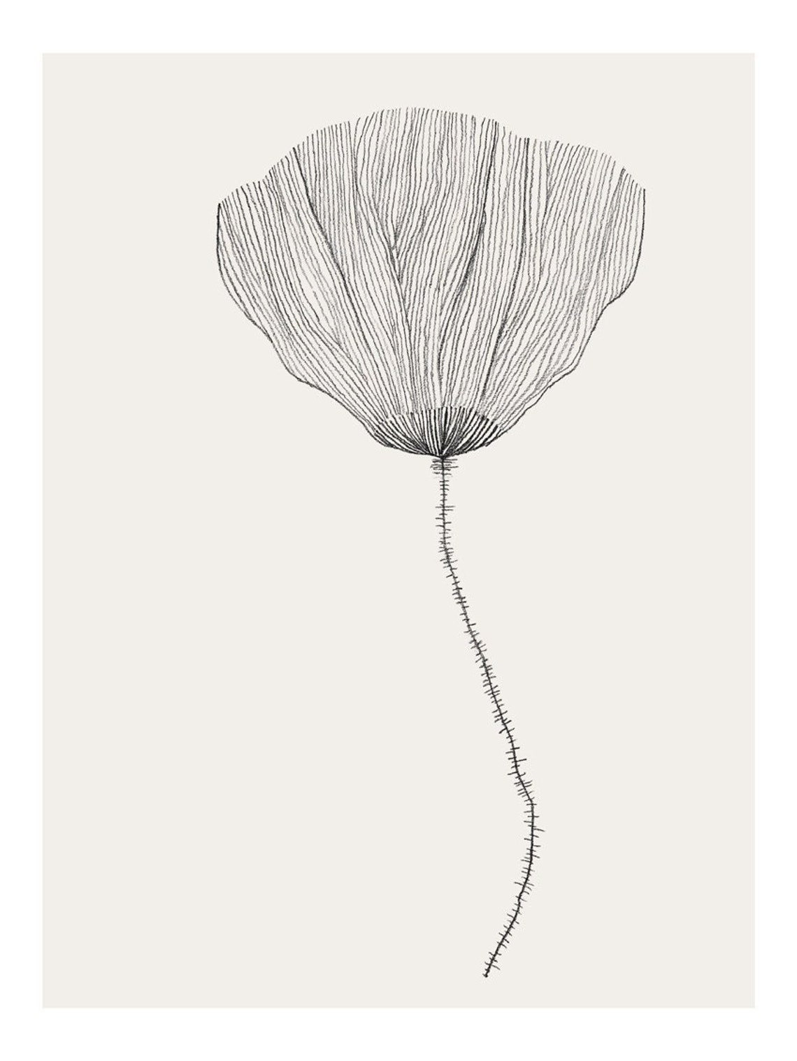 POPPY N.1 by #anafrois . Art Print - Etsy