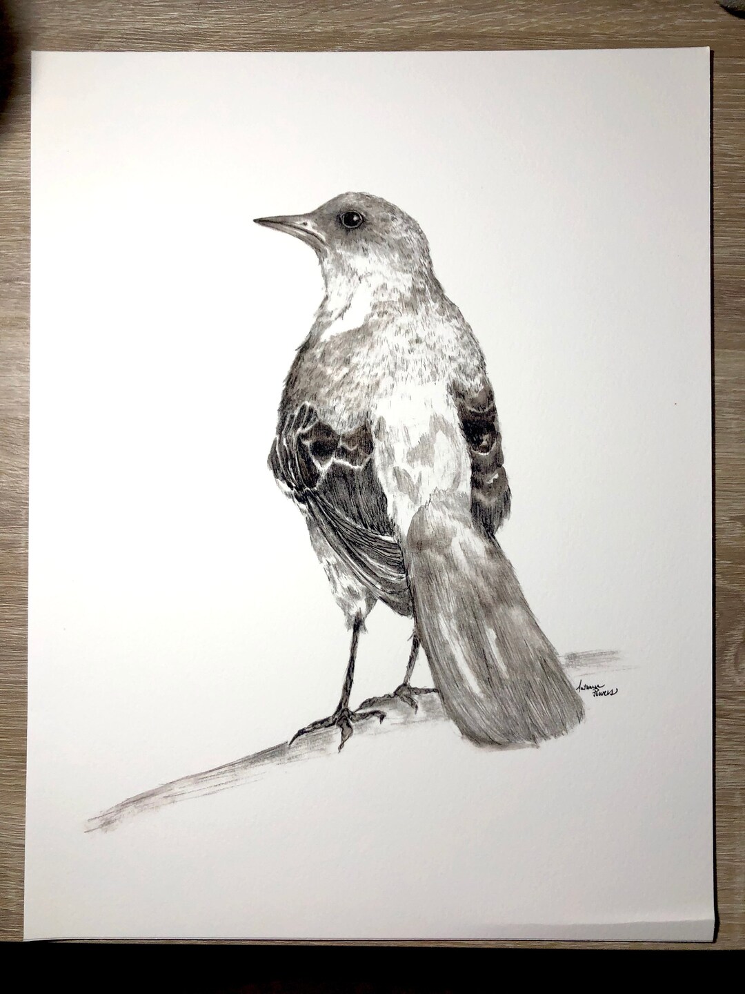 Graphite Bird Art Print - Etsy