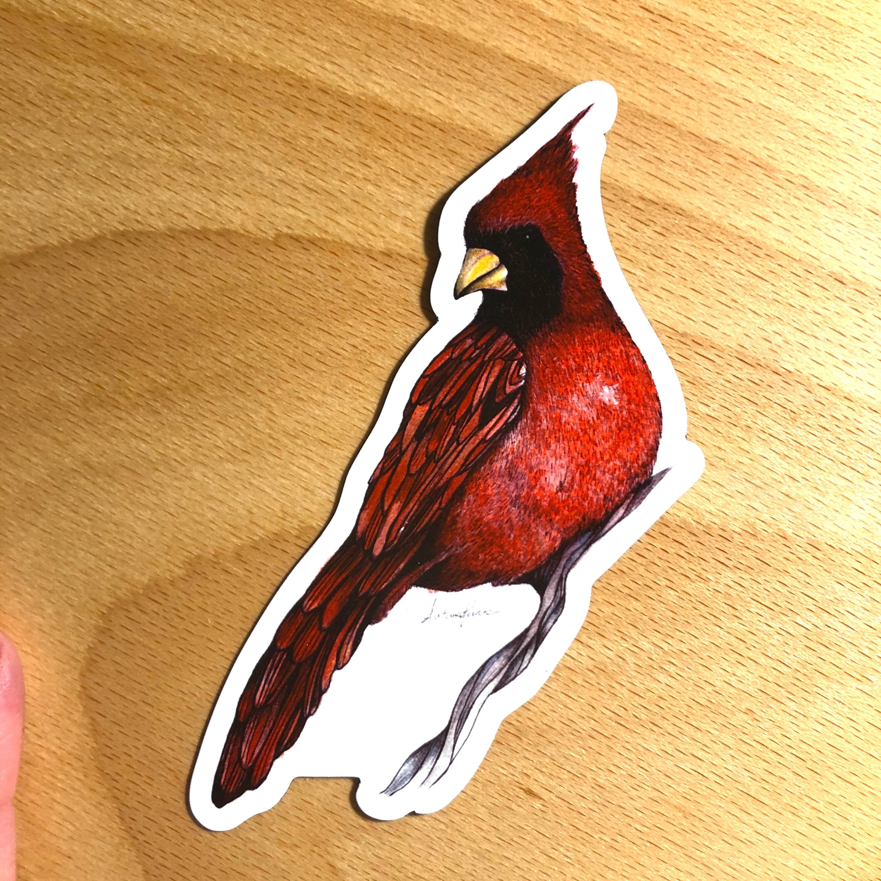 Red Cardinal Die-cut Sticker - Etsy