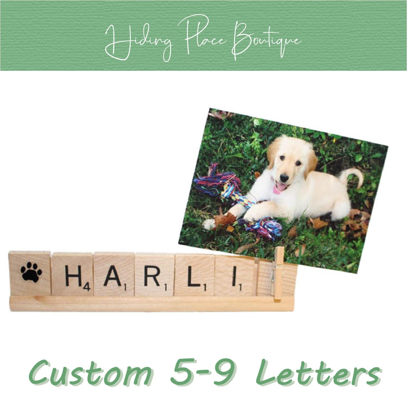 Pet Photo Pet Frame Pet Memorial Dog Photo Cat Photo | Etsy