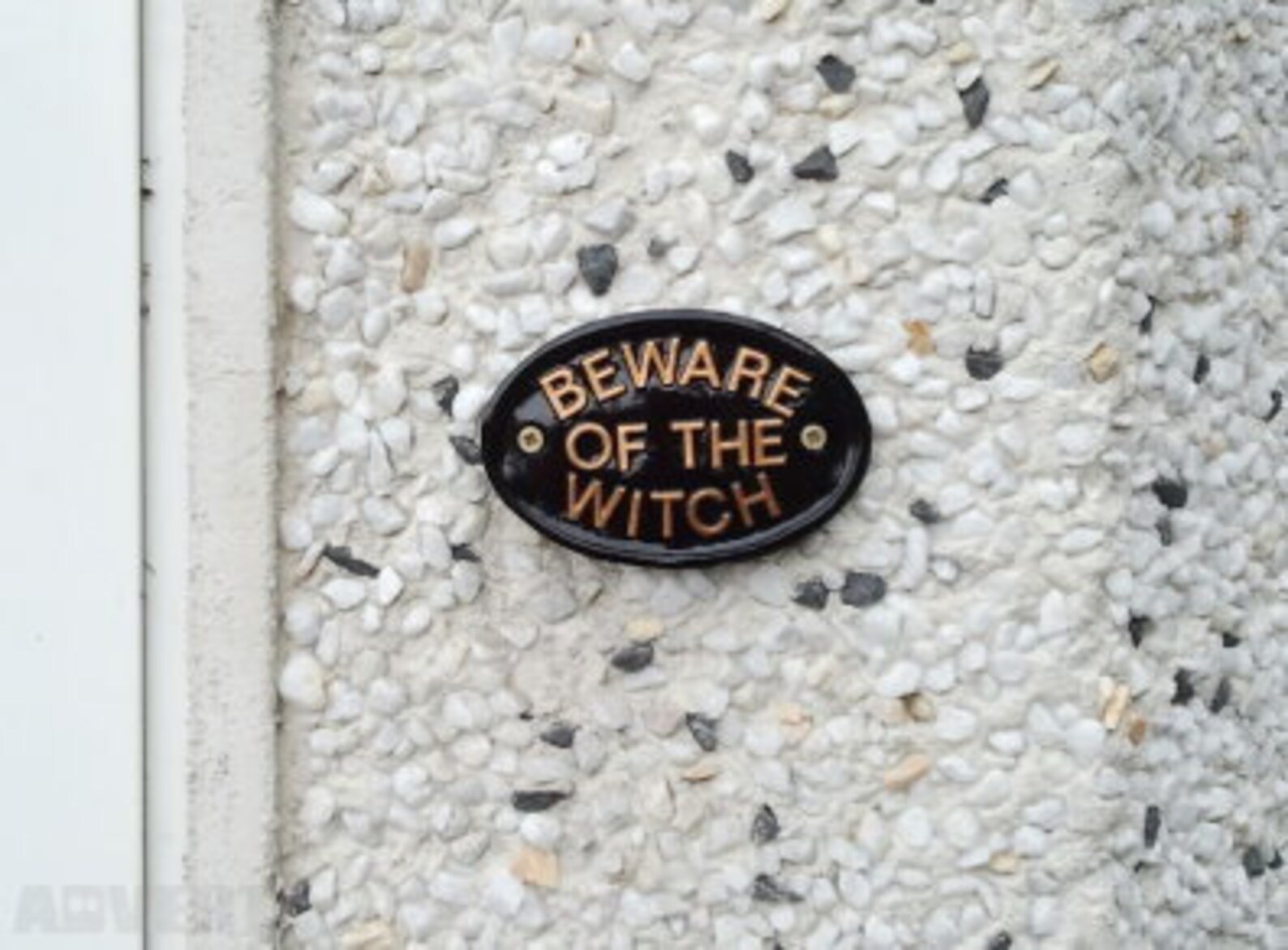Beware of the Witch, Funny Sign, Coven, Halloween - Etsy