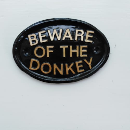 Beware of the Parrot Sign - Etsy