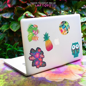 Maui Sea Turtle Sticker Small, Maui Turtles, Sea Turtles, Honu, Turtle ...