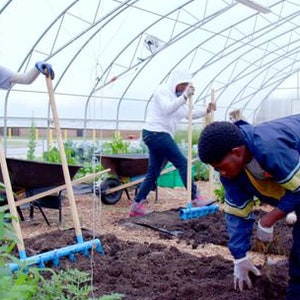 The Market Gardener Treadlite Broadfork - 7 Tine - Garden Tool - Hand ...