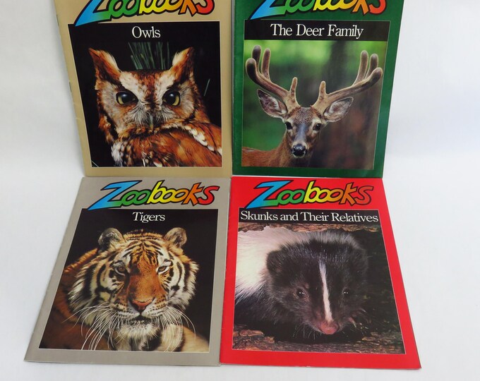 Zoobooks Kid's Wildlife Education Magazine 1992 - 4 - Etsy