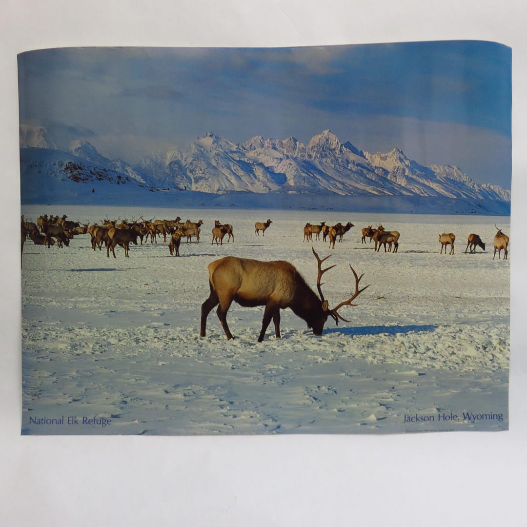 Vintage Poster National Elk Refuge Jackson Hole Wyoming - Etsy
