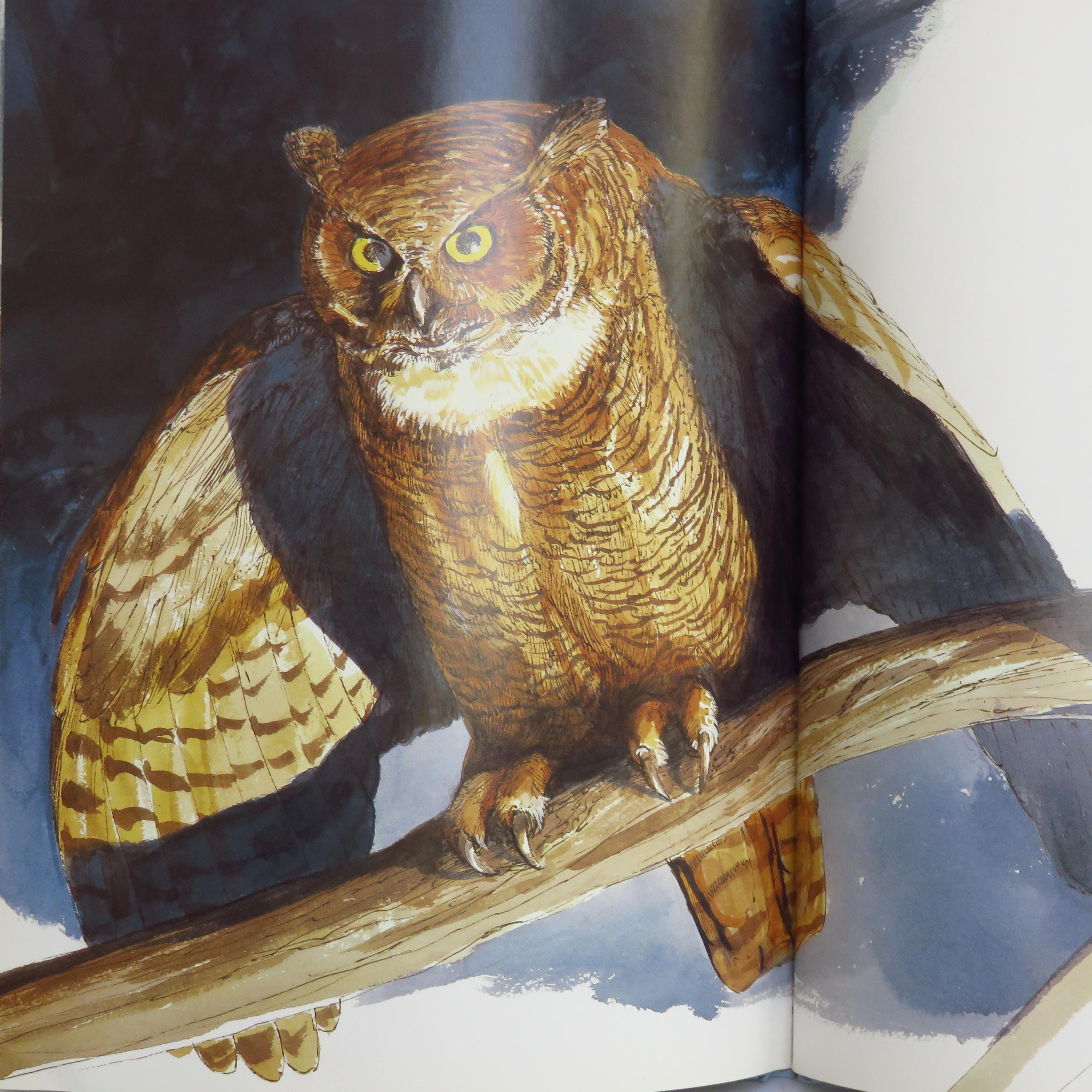 Vintage Childrens Book "owl Moon" Jane Yolen Hardcover 1980s Caldecott ...