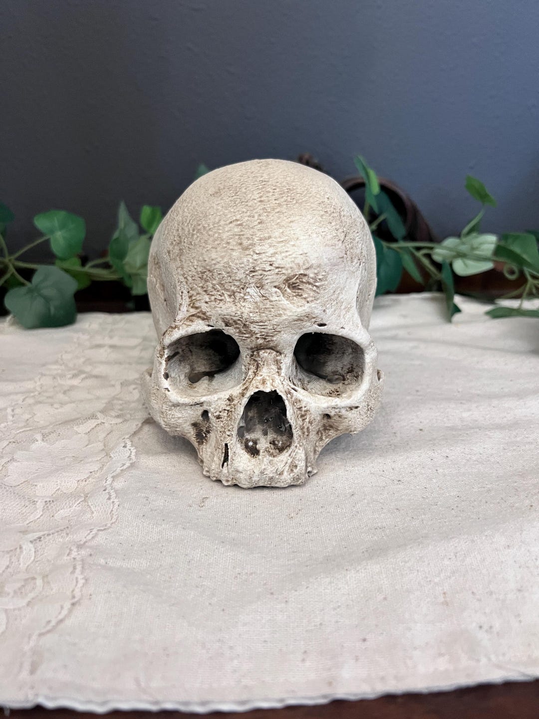 Realistic Detailed Human Skull Replica - Gothic Dark Academia Decor - Etsy