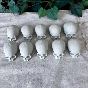 Lot of 15 Realistic Mini Skulls - Etsy