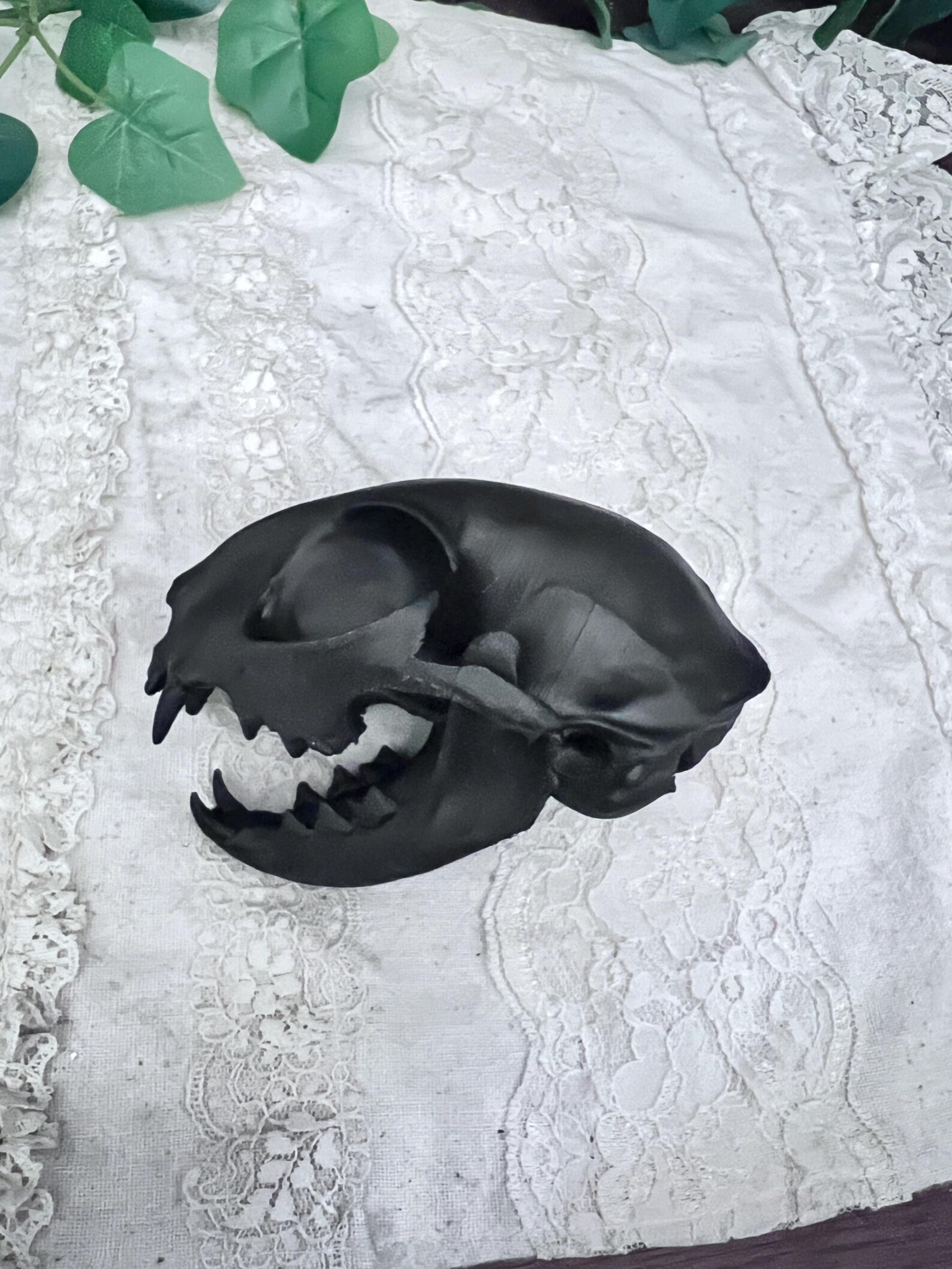 Gothic Cat Skull Replica Decor - Etsy