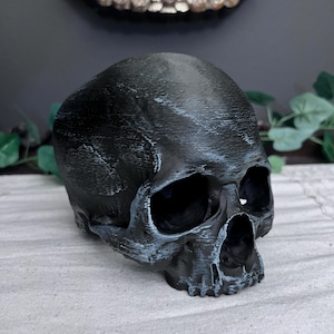 Realistic Detailed Human Skull Replica - Gothic Dark Academia Decor - Etsy