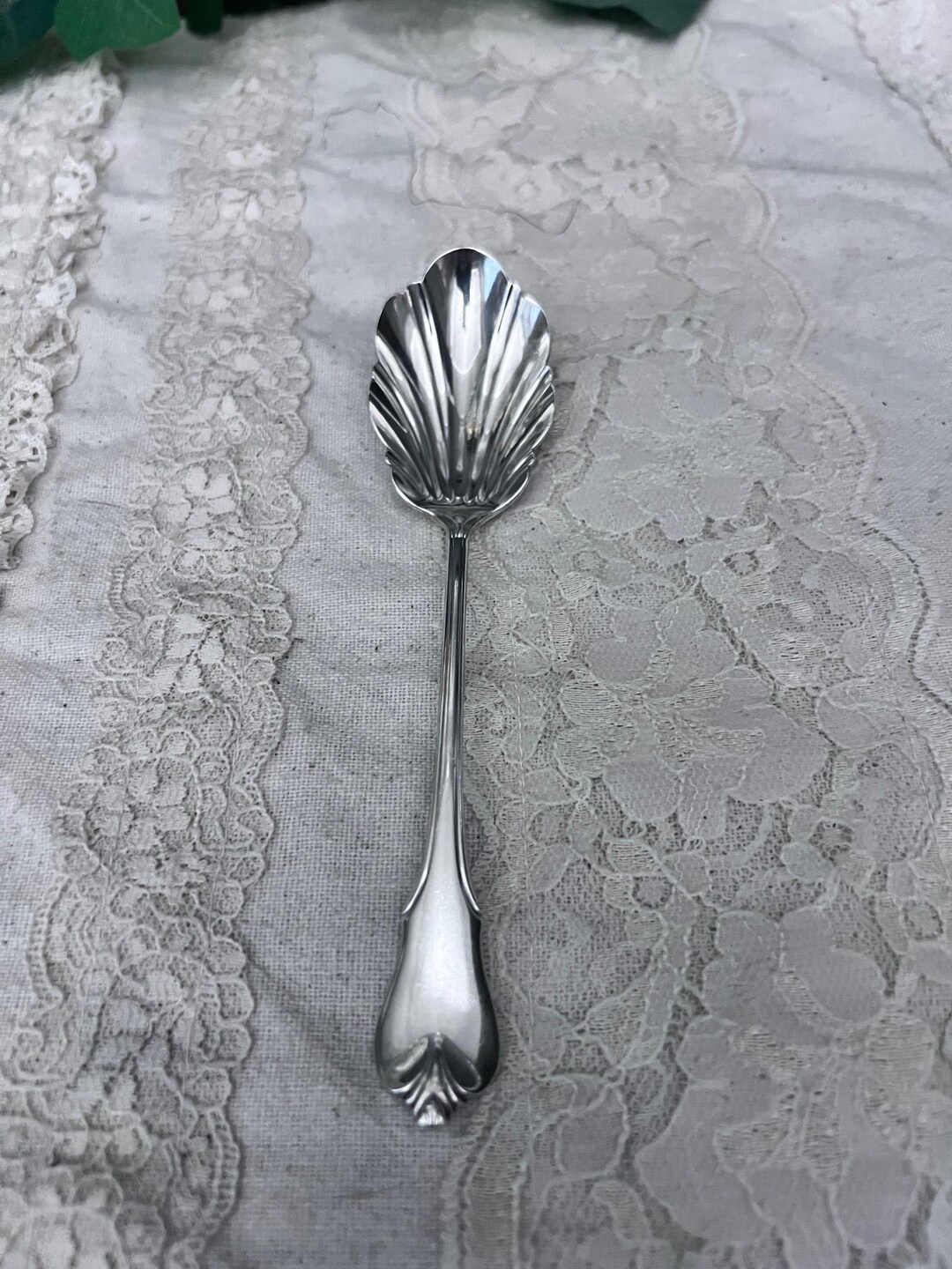Wallace Sterling Silver Flatware Shell Sugar Spoon Grand Colonial 6" - Etsy