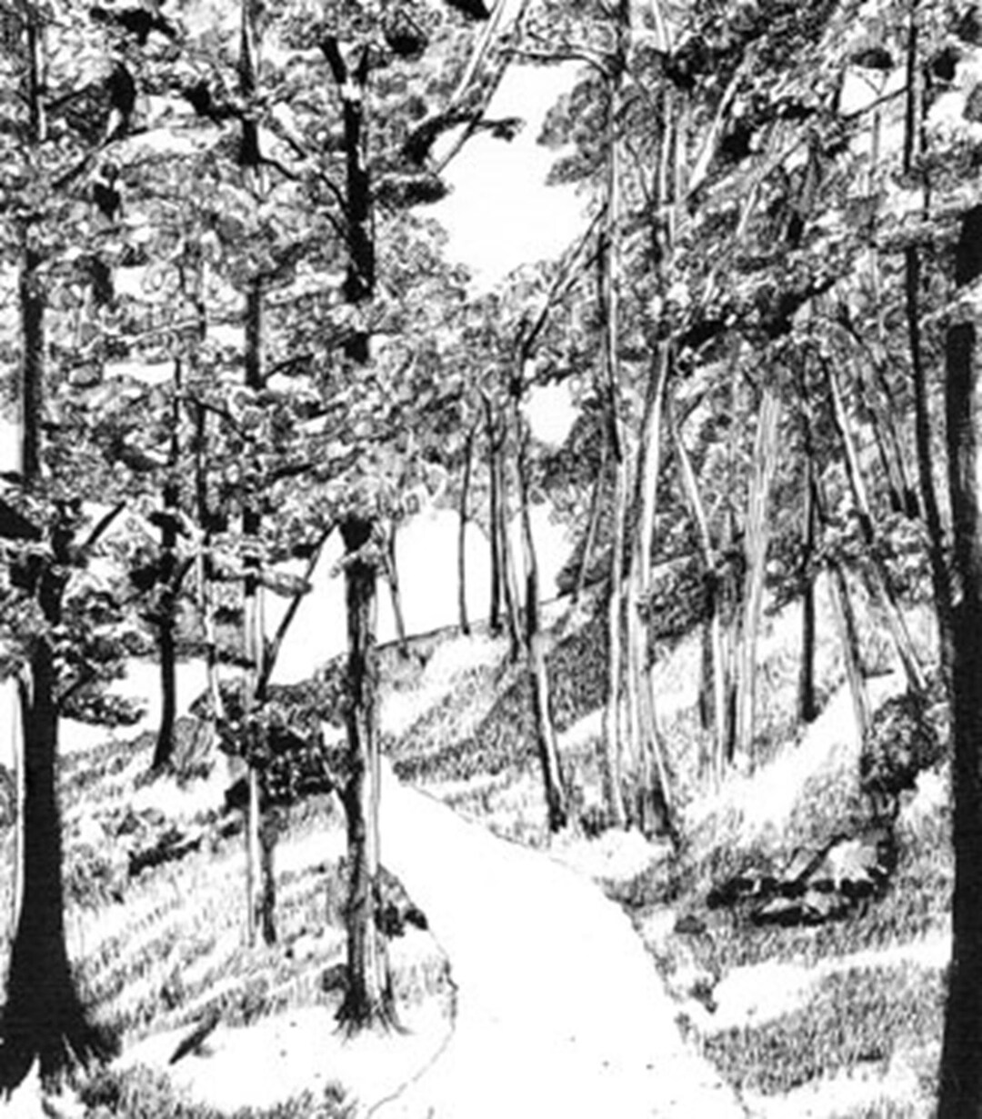 Pen and Ink Limited Edition Landscape Print "pathway to Success" by Ray ...