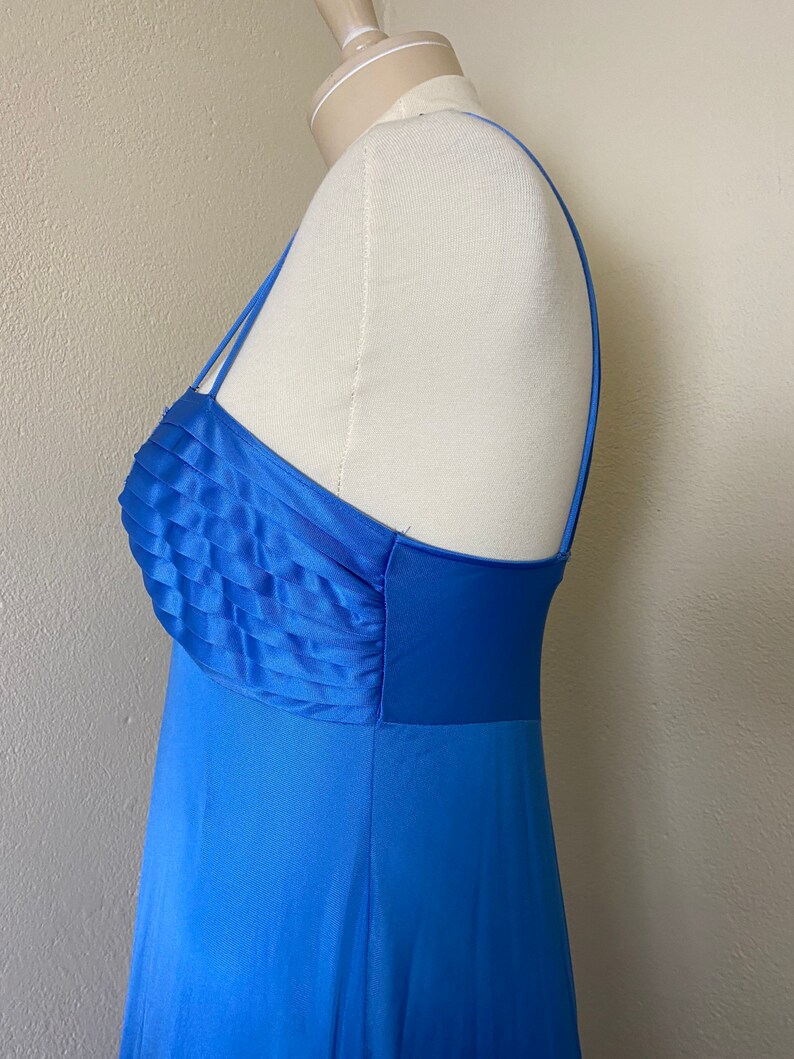 Vintage 1970's Rosa Puleo-szule Lily of France Maxi Nightgown Blue ...