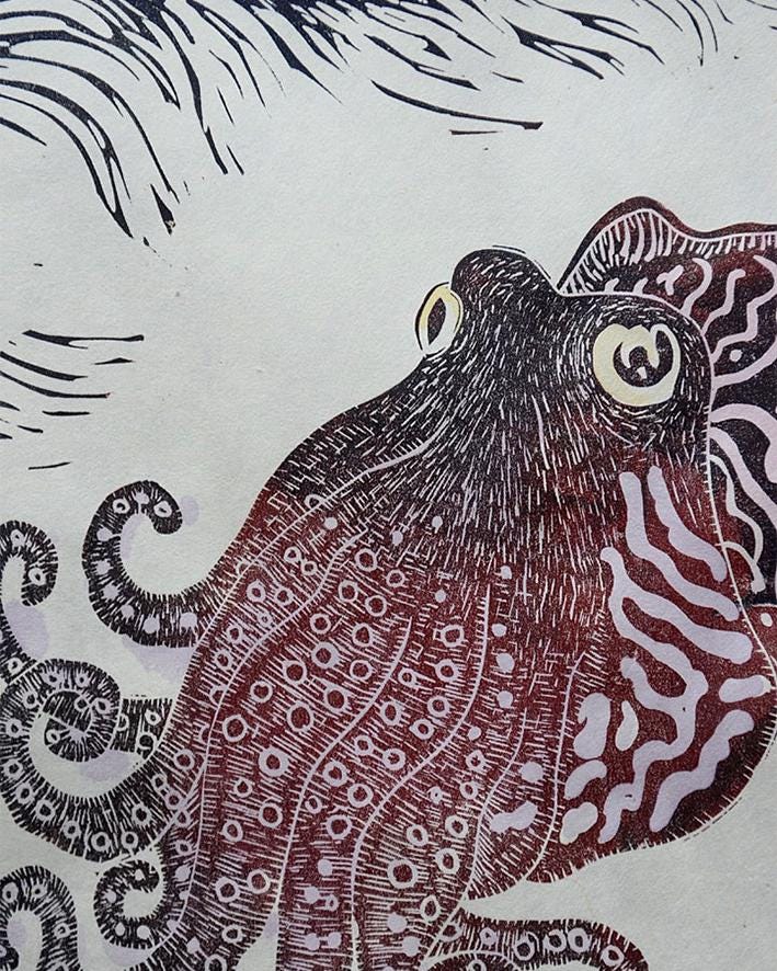 Original Handmade Linocut Print 'cuttlefish' - Limited Edition - Etsy