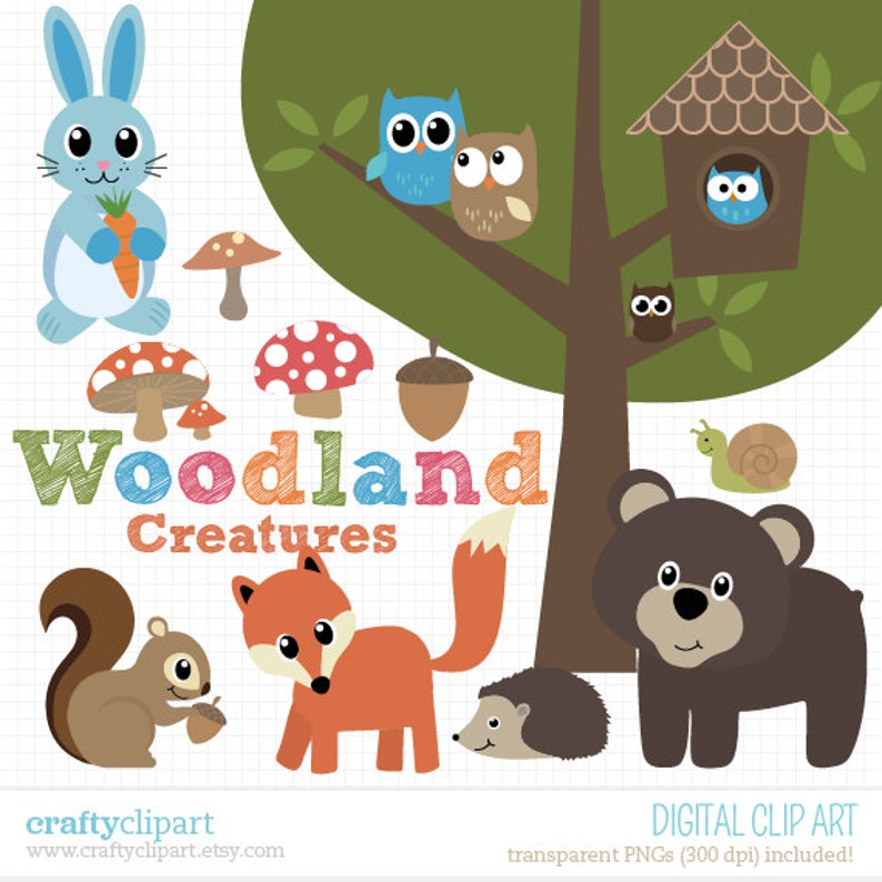 Woodland Animals Clipart Owl Rabbit Squirrel Fox Bear - Etsy