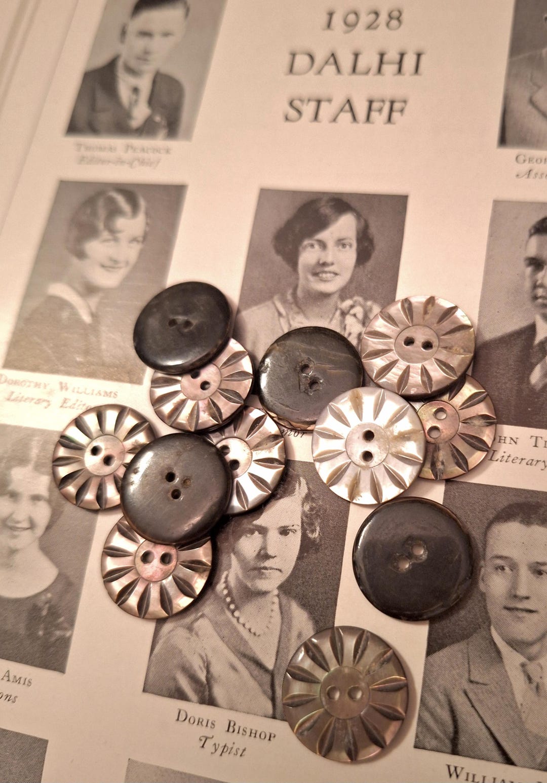Set of 12 Vintage Abalone Buttons - Carved Shell Buttons - Etsy