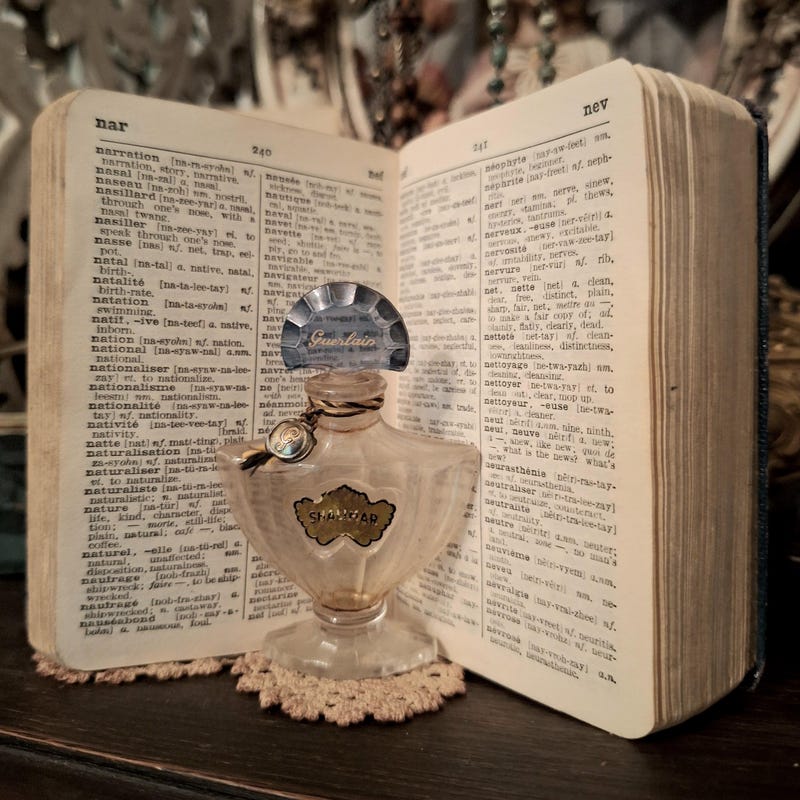 Antique Dictionary - Etsy