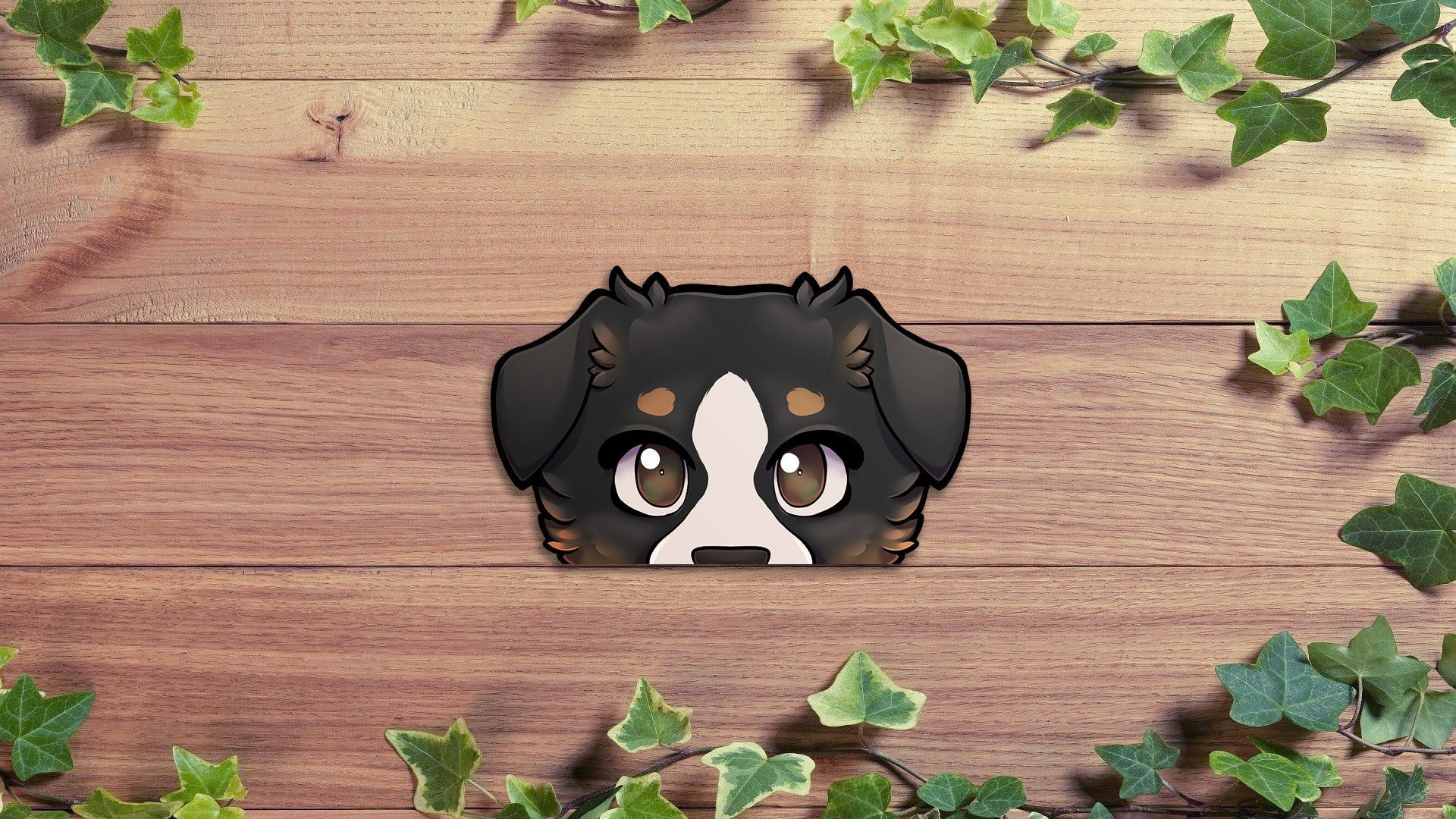 Cute Australian Shepherd Peeker Sticker Red Tri Black Tri Red Merle ...