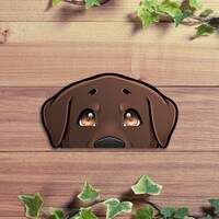 Golden Retriever Vinyl Decal - Etsy