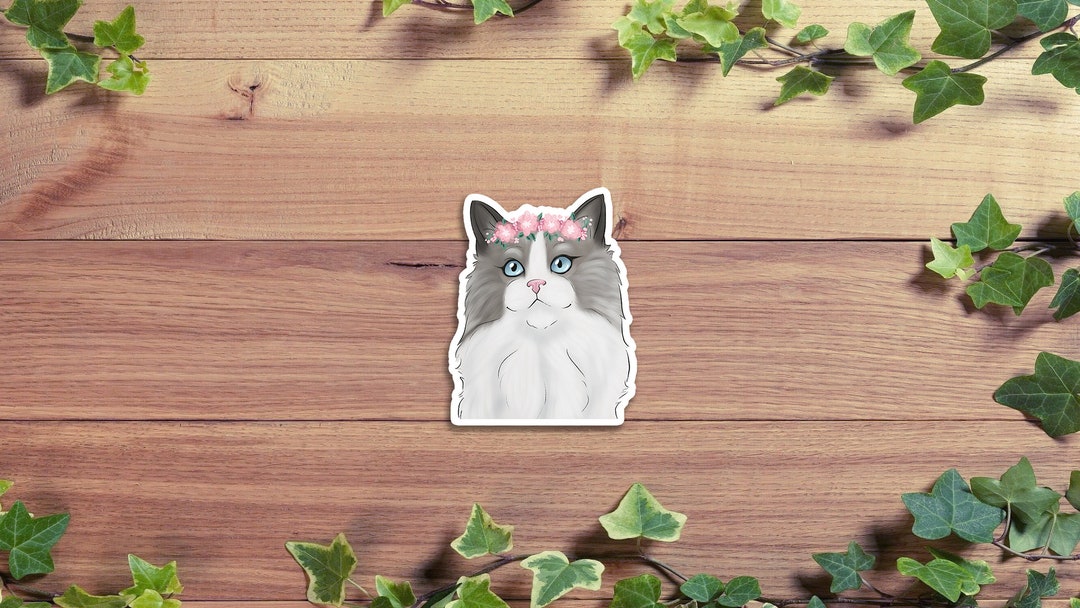 Cute Ragdoll Cat Sticker | Cute Stickers | Blue Bi Color Ragdoll ...