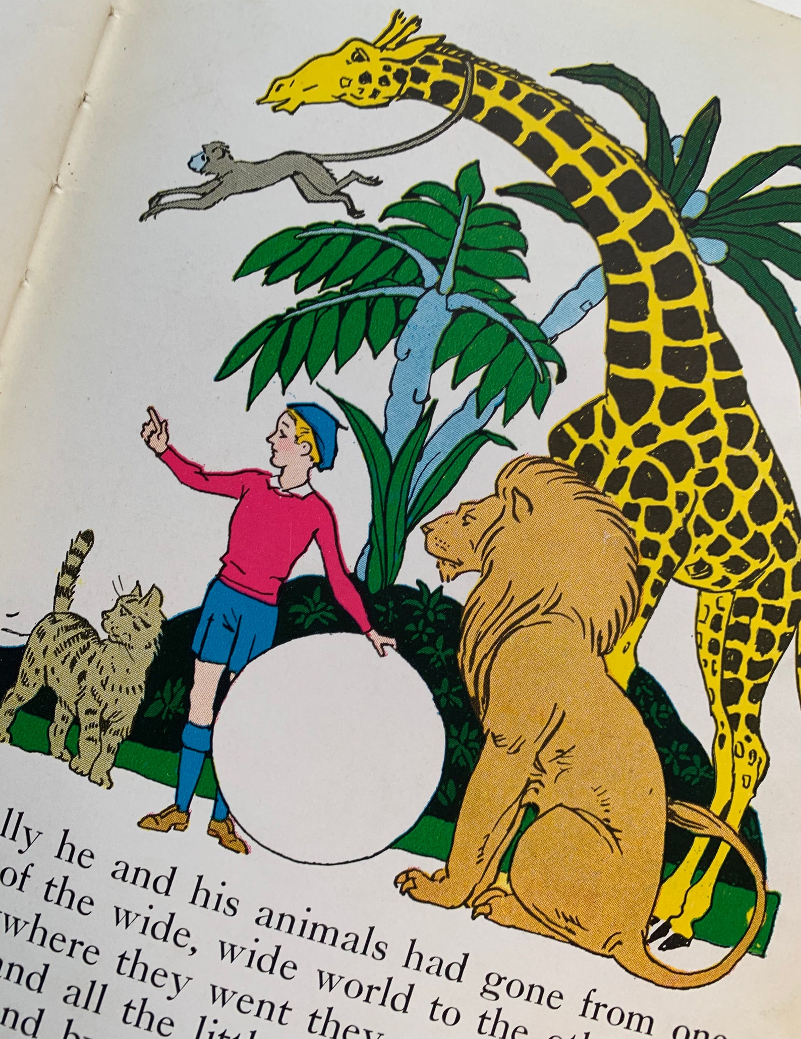 The First Circus by Fanny Burgheim Hardcover Book Platt & Munk - Etsy