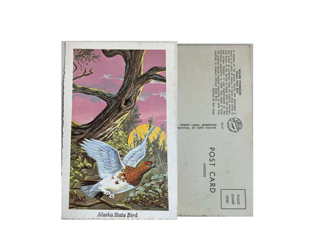 Vintage Alaska State Bird Willow Ptarmigan Postcard by Artist Ken Haag ...