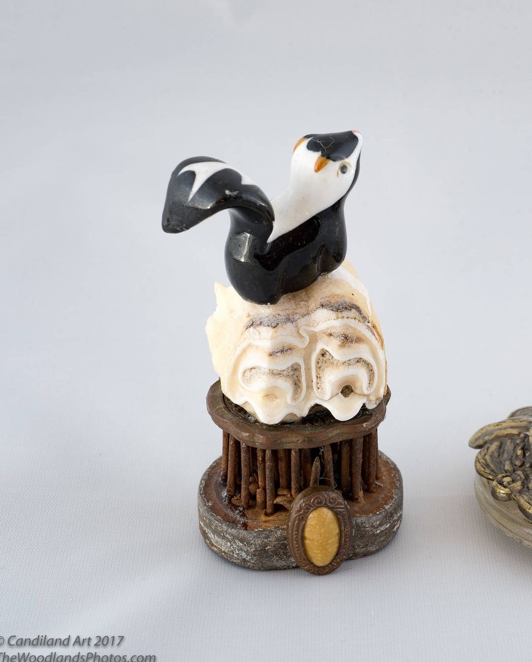 Skunk Totem Large Animal Tooth Display Sculpture - Etsy