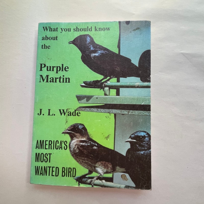 Purple Martin - Etsy
