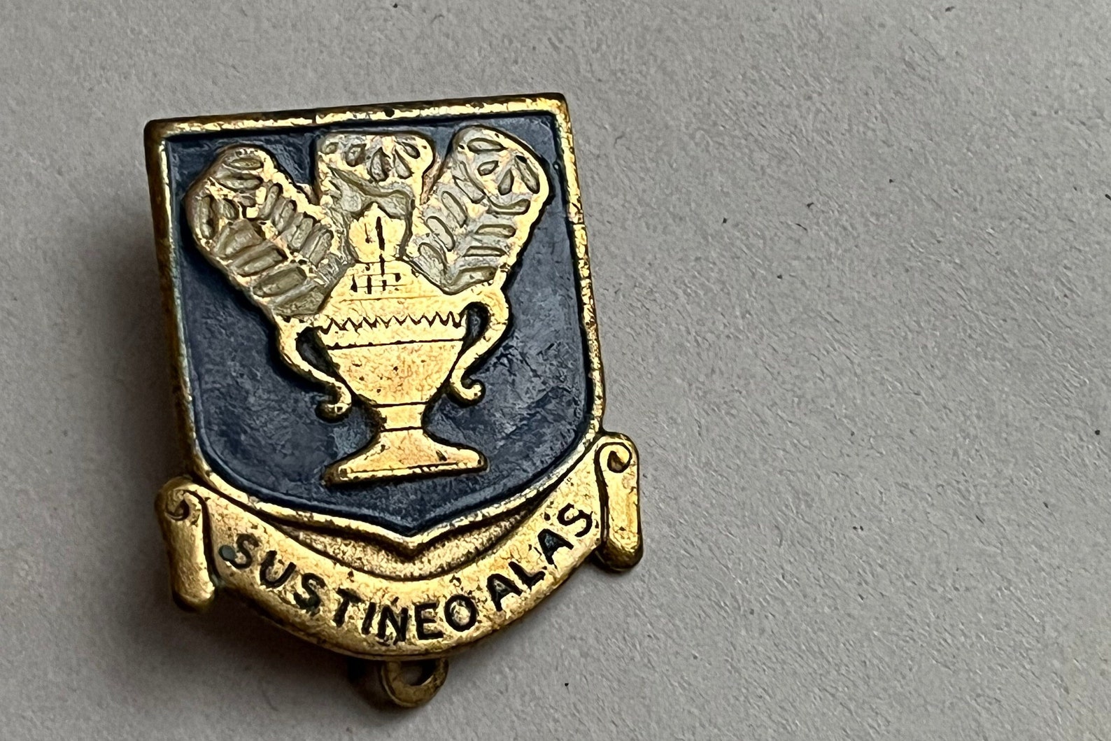 Vintage WWII Sustineo Alas US Army Air Corps Technical Training Command ...