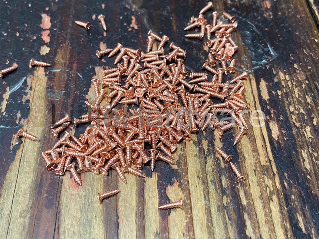 100 Pcs Rose Gold Color SELF TAPPING Screws,wood Screws,drywall Screws ...