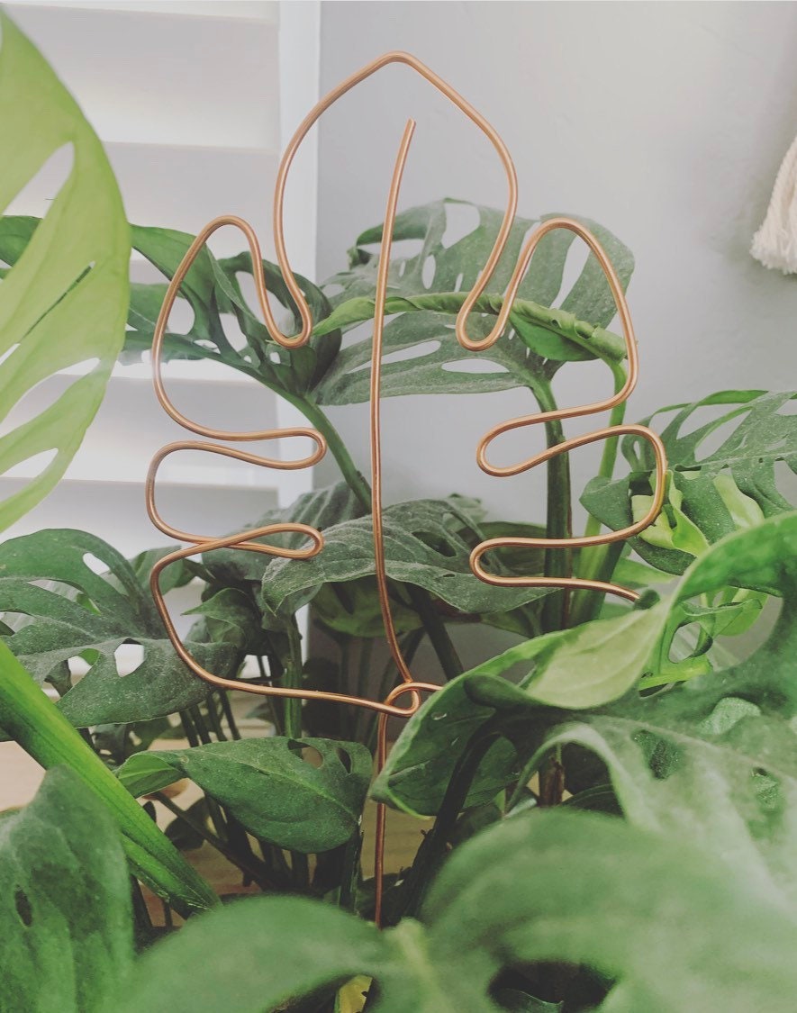 Decorative Plant Trellis Monstera Leaf | Etsy