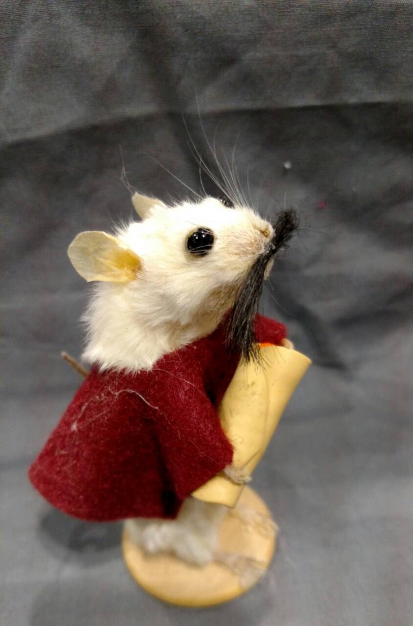Enjoy Your Burrito Taxidermy Mouse - Etsy