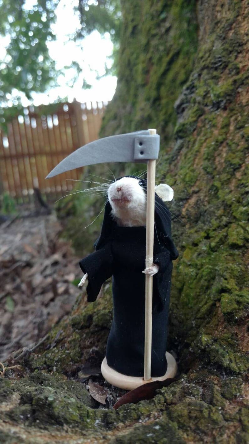 Grim Reaper Taxidermy Mouse - Etsy